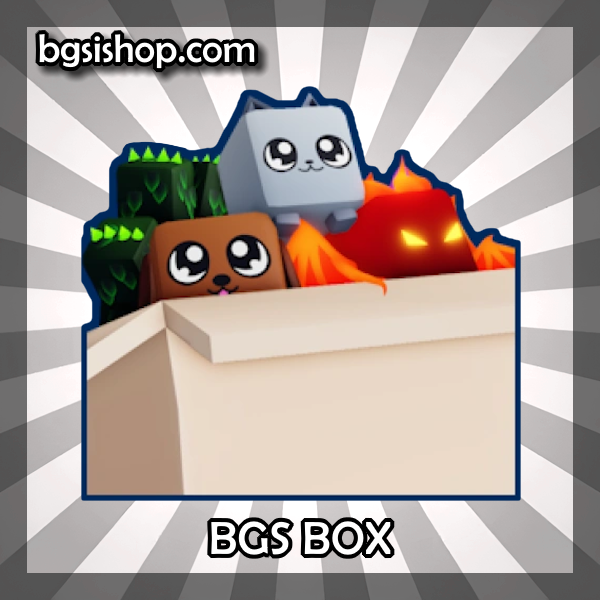 BGS Box
